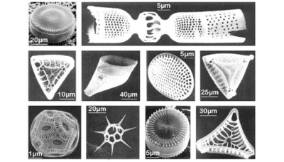 Many Different Types of Diatomite Absorbent Mat Available to Meet Your ...